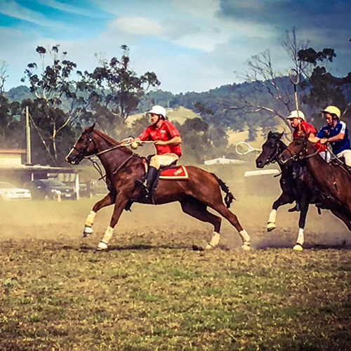 2017 Polocrosse Gallery- Sale Polocrosse Club Sale Polocrosse Club ...